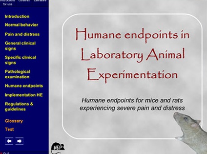 Humane endpoints in Laboratory Animal Experimentation – KIC3Rs