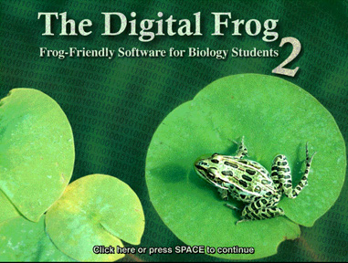 The Digital Frog 2 – KIC3Rs