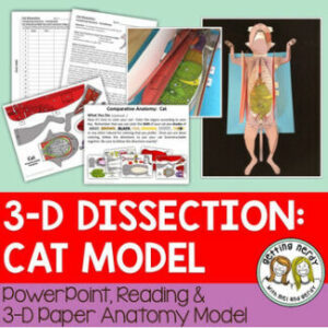 Paper Dissection – Scienstructable 3D Dissection Model – KIC3Rs