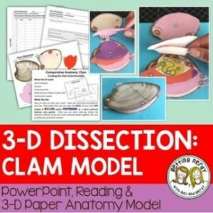 Paper Dissection – Scienstructable 3D Dissection Model – KIC3Rs
