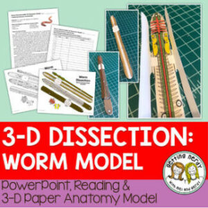 Paper Dissection – Scienstructable 3D Dissection Model – KIC3Rs