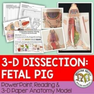 Paper Dissection – Scienstructable 3D Dissection Model – KIC3Rs