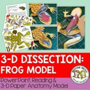 Paper Dissection – Scienstructable 3D Dissection Model – KIC3Rs