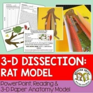 Paper Dissection – Scienstructable 3D Dissection Model – KIC3Rs