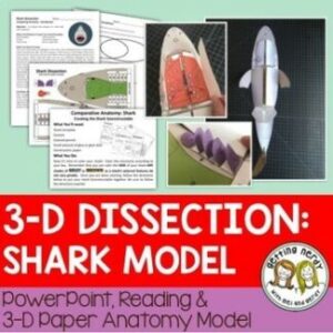 Paper Dissection – Scienstructable 3D Dissection Model – KIC3Rs