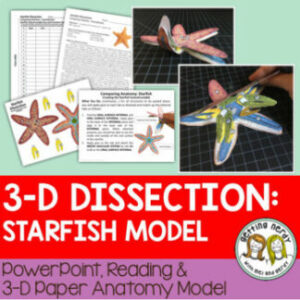 Paper Dissection – Scienstructable 3D Dissection Model – KIC3Rs