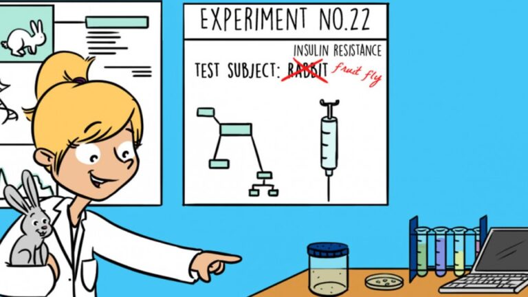 3Rs Principles – KIC3Rs