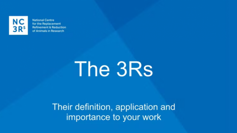 3Rs Principles – KIC3Rs